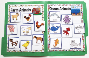 File Folder Category Activities! - Make Take & Teach